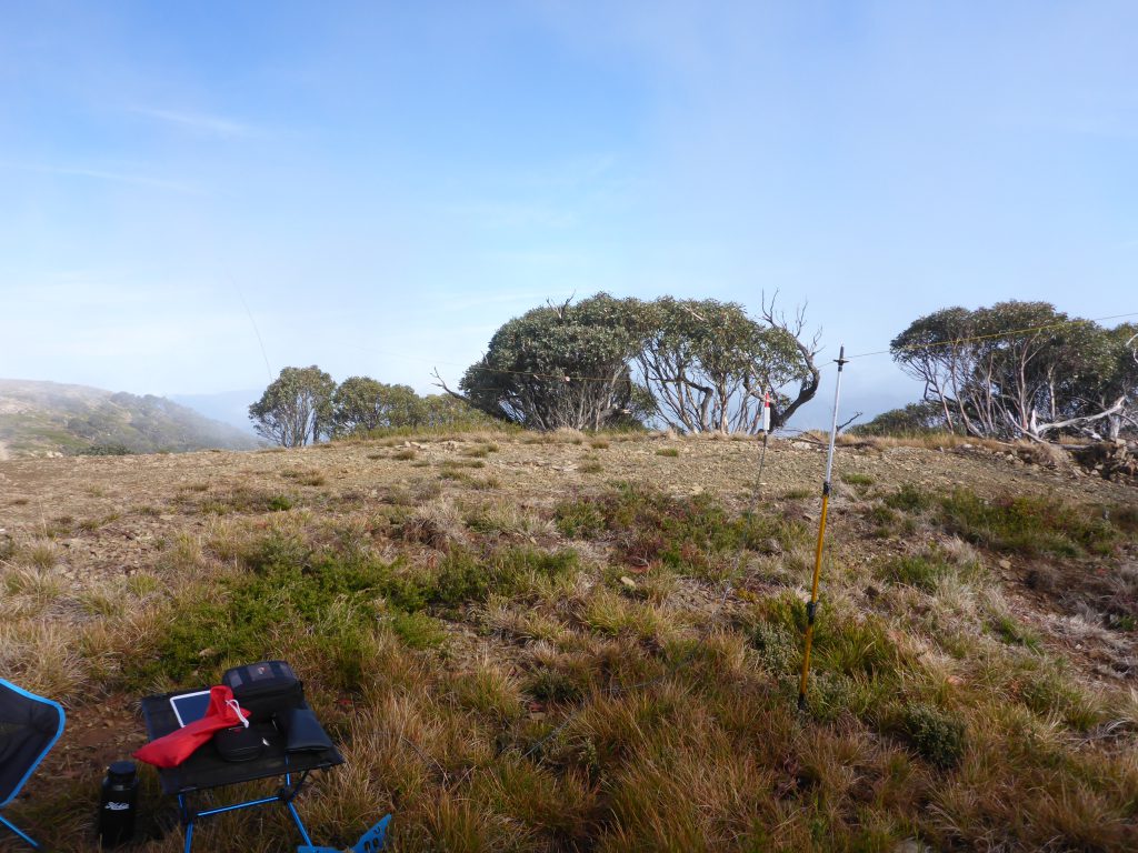 Mt Sarah, Mt Selwyn and surronds | VK3IL Blog