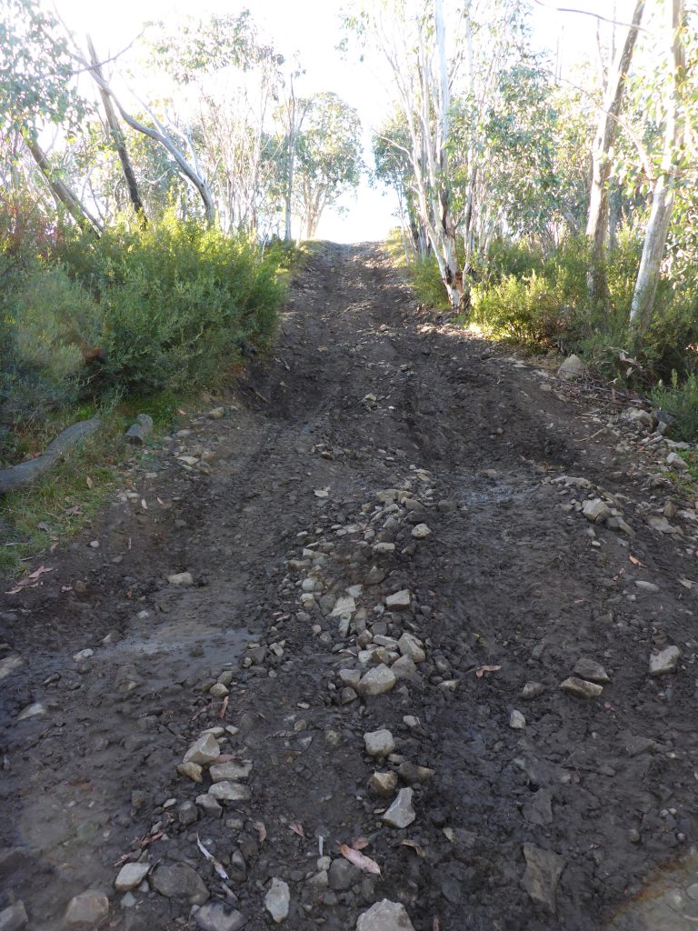 Mt Sarah, Mt Selwyn and surronds | VK3IL Blog