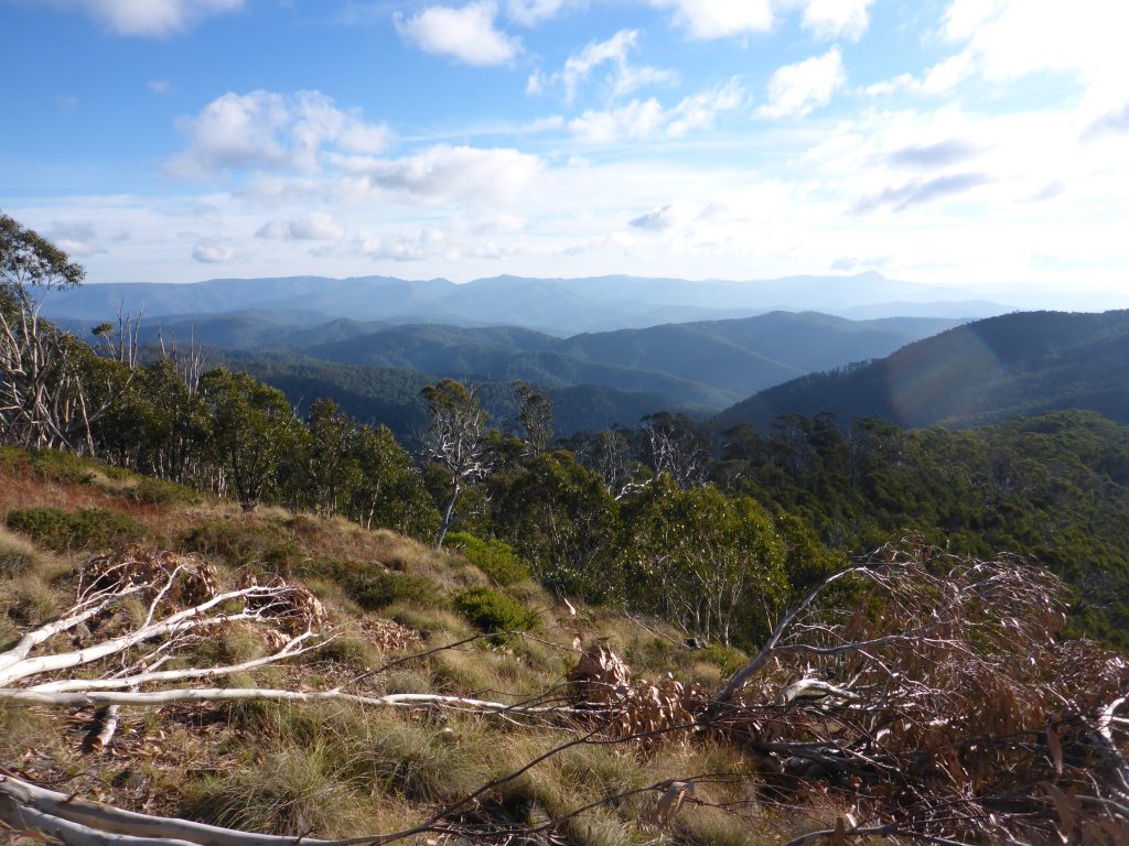 Mt Sarah, Mt Selwyn and surronds | VK3IL Blog